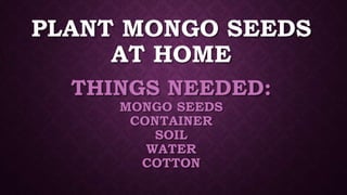 ACTIVITY AT HOME.pptx