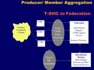 Activity based shg & producer organization | PPT