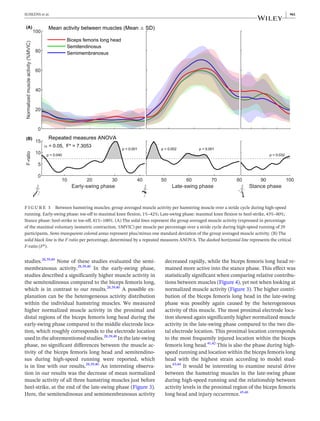 Activity_distribution_among_the_hamstring_muscles_.pdf