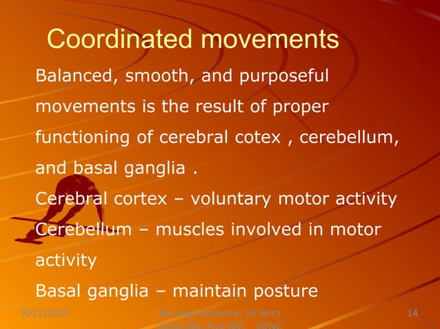 Activityexercisepattern | PPT