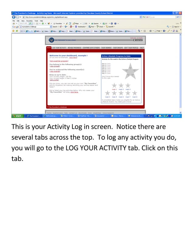 Activity Log Tutorial | PDF