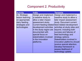 Activity Plan For MilkIT : Brainstorming | PPT