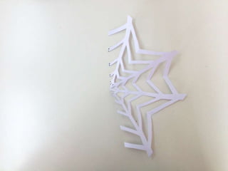 Radial symmetry ACTIVITY 1ESO | PPSX | Biological Sciences | Science