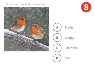 Animal Quiz | PPTX