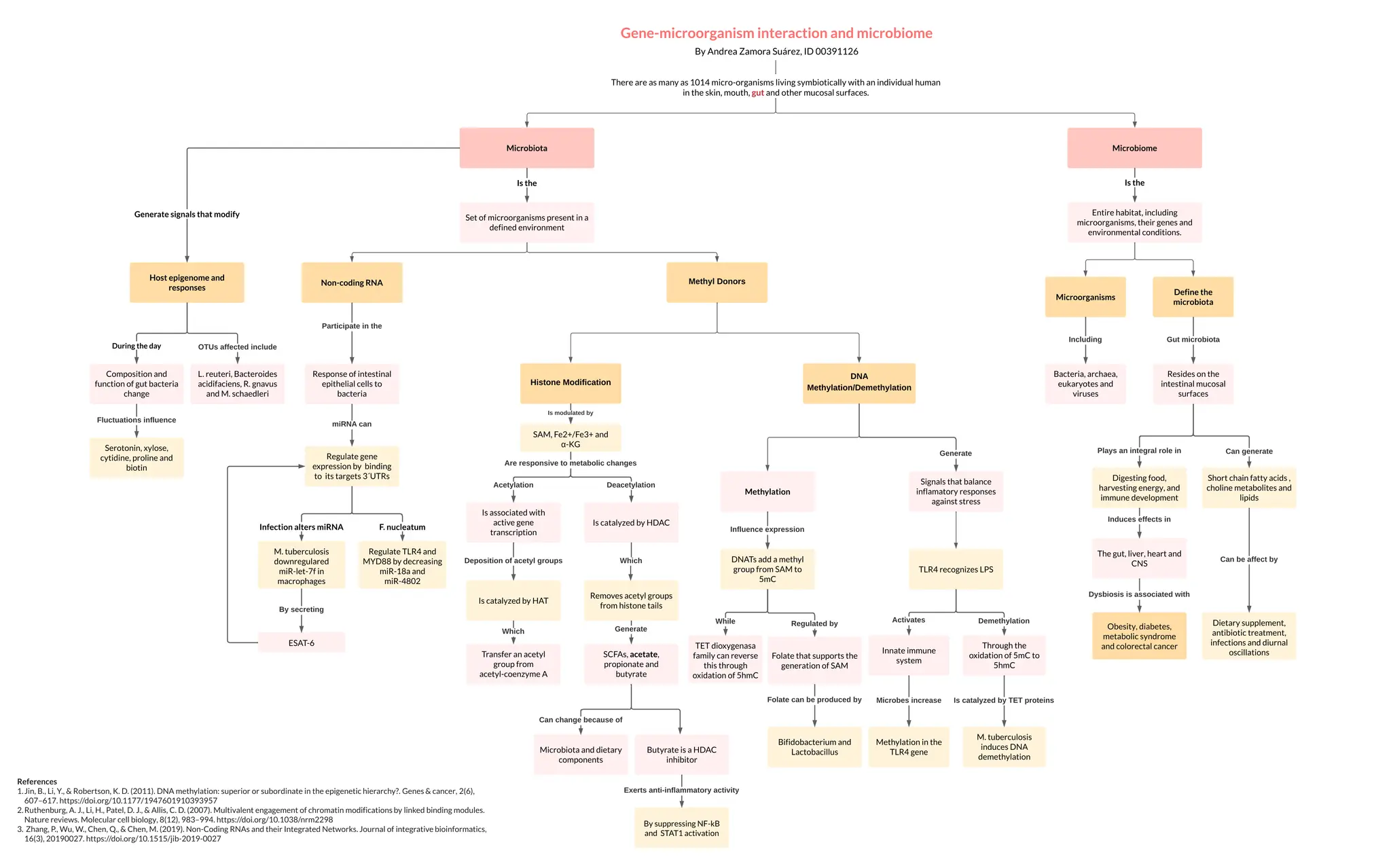 Activity session 19. AZS.pdf