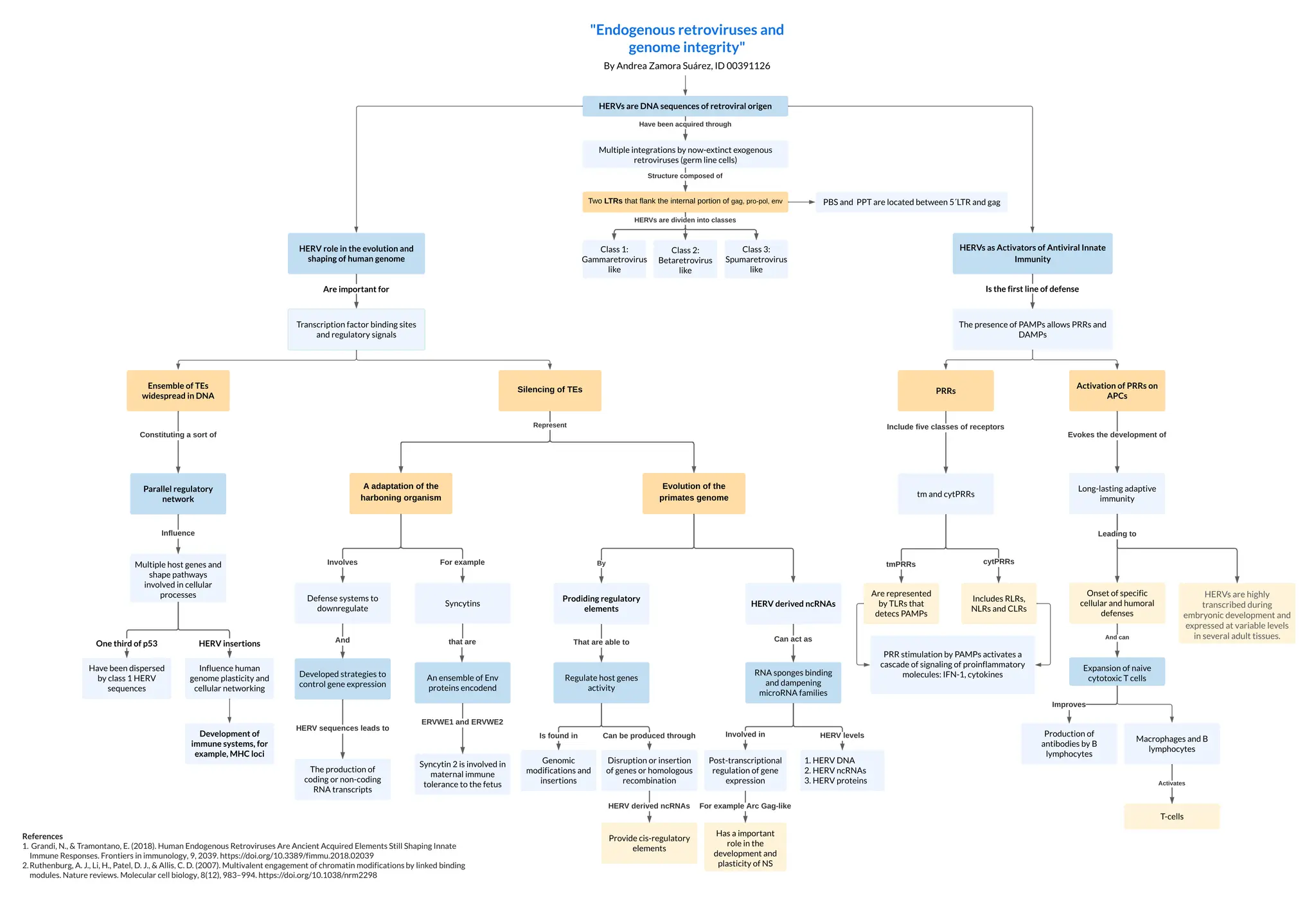 Activity session 19. AZS.pdf