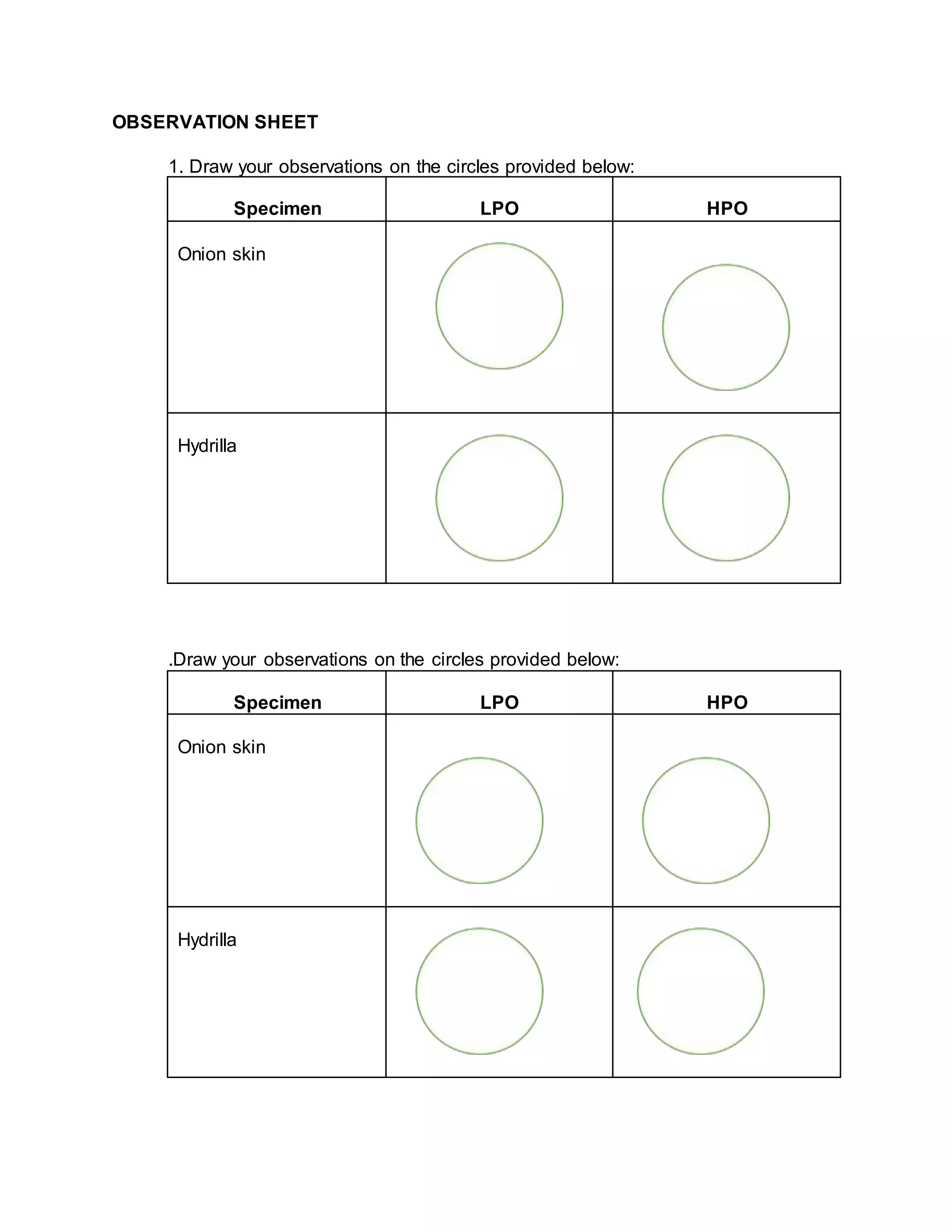 Activity sheet in cytogenetics | DOCX