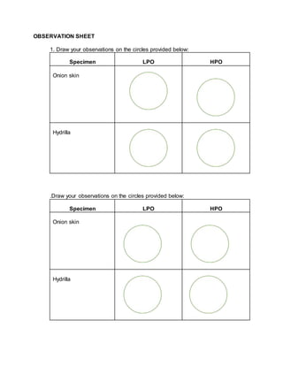 Activity sheet in cytogenetics | DOCX