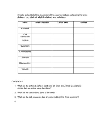 Activity sheet in cytogenetics | DOCX