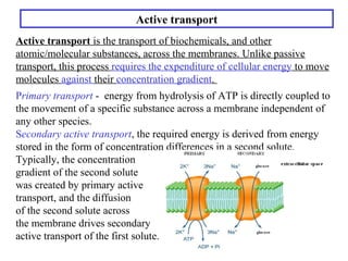 Active transport, biological signals | PPT