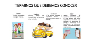 ACTORES VIALES PLAN ESTRATEGICO DE SEGURIDAD VIAL | PPTX