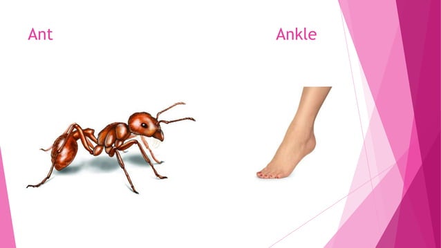 Actress Annie (Aa) | PPTX