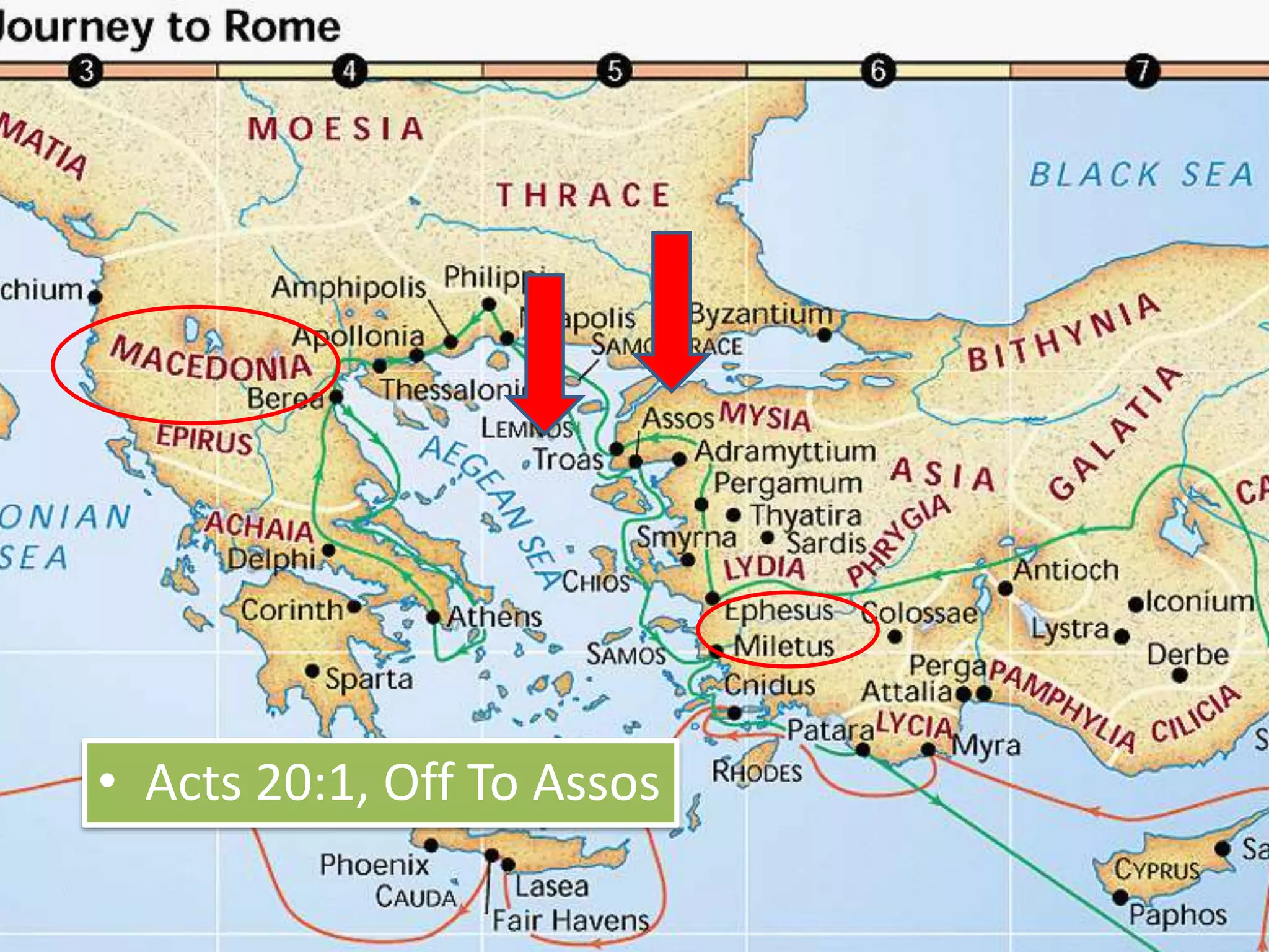 Acts 20, Elder Pastor Shepherd Bishop, presbuteros episkopos poimaino ...
