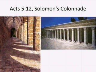 The Book of Acts: Chapter 5 | PPSX