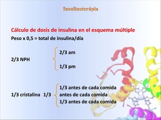 Actualización insulinoterapia | PPT