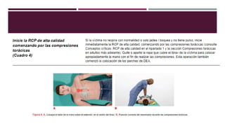 Actualizacion bls 2020 | PPTX