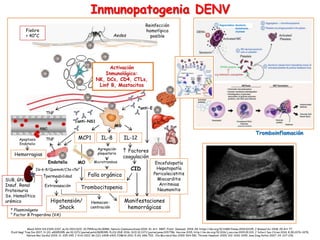 Actualizacion completa definición DENV 2023 | PPTX | Infectious ...
