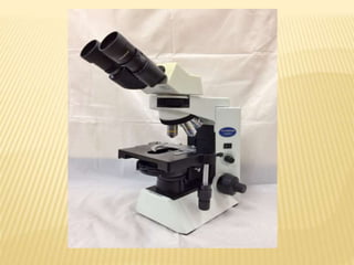 phase contrast microscope | PPTX