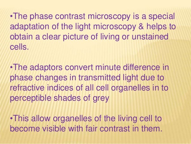 phase contrast microscope