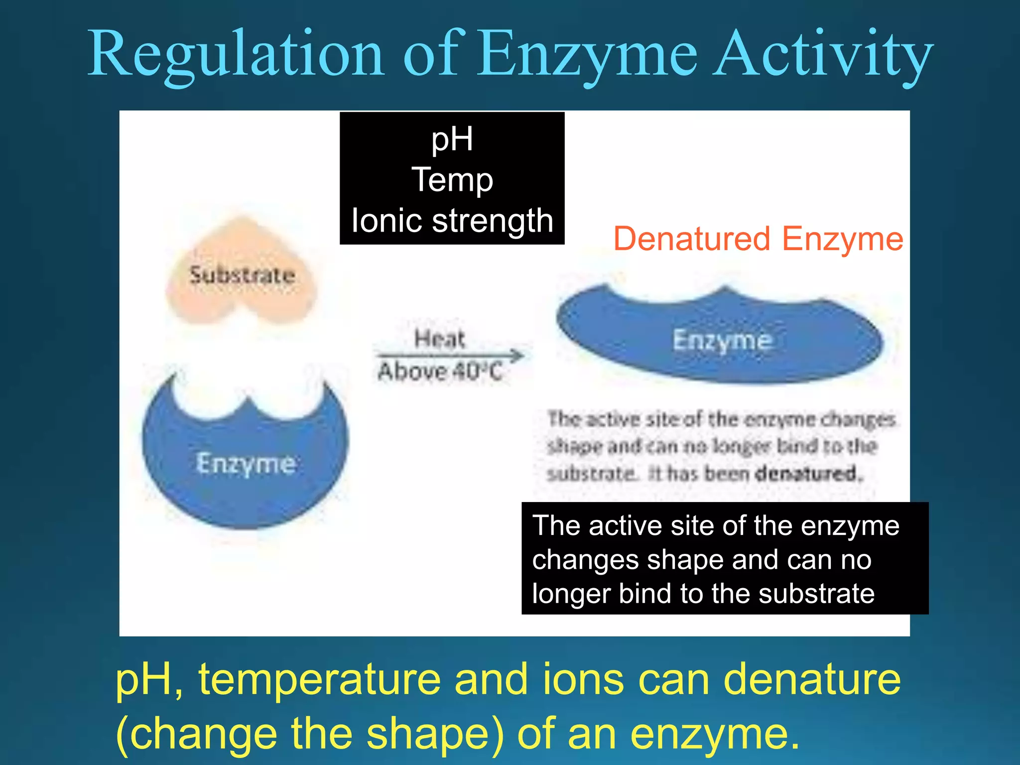 Actvation energy and enzymes | PPTX
