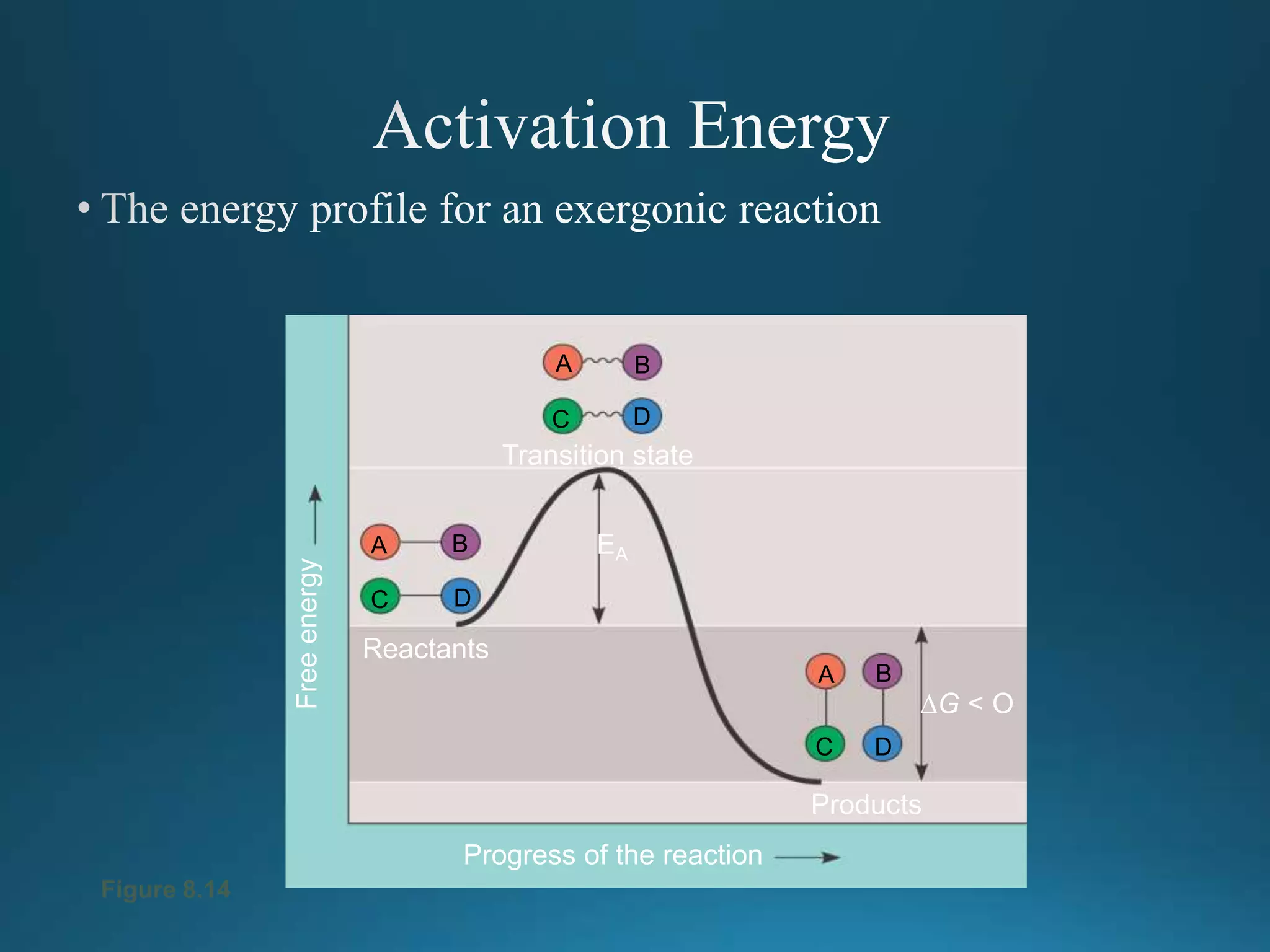Actvation energy and enzymes | PPTX