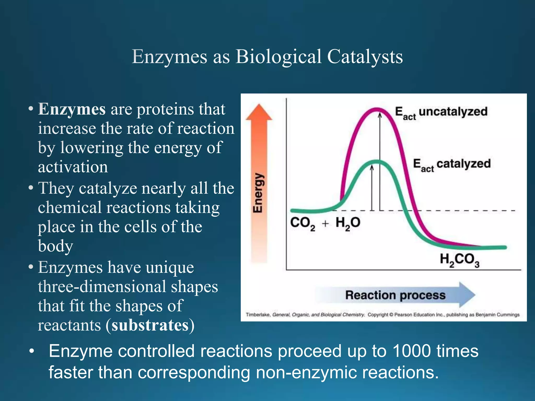 Actvation energy and enzymes | PPTX