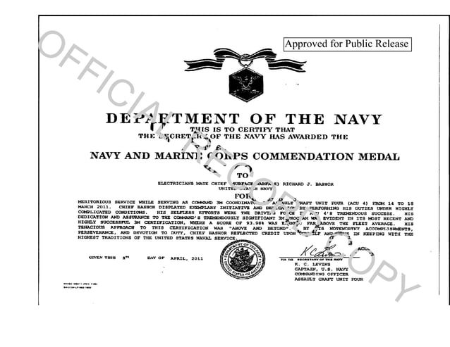 Navy and Marine Corps Commendation Medal | PPT