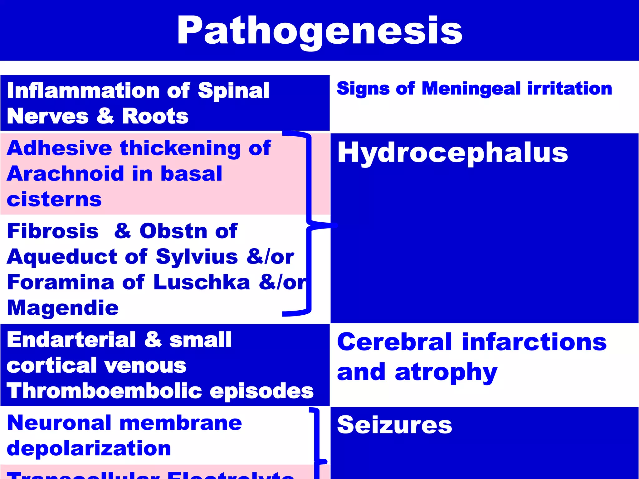 Acute bacterial (Pyogenic) meningitis - Dr. S. Srinivasan, Professor of ...