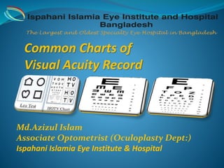 Vision charts/Eye Charts/Acuity charts | PPTX