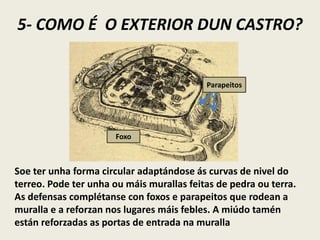 A cultura castrexa | PPTX