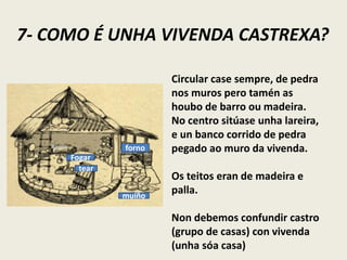 A cultura castrexa | PPTX