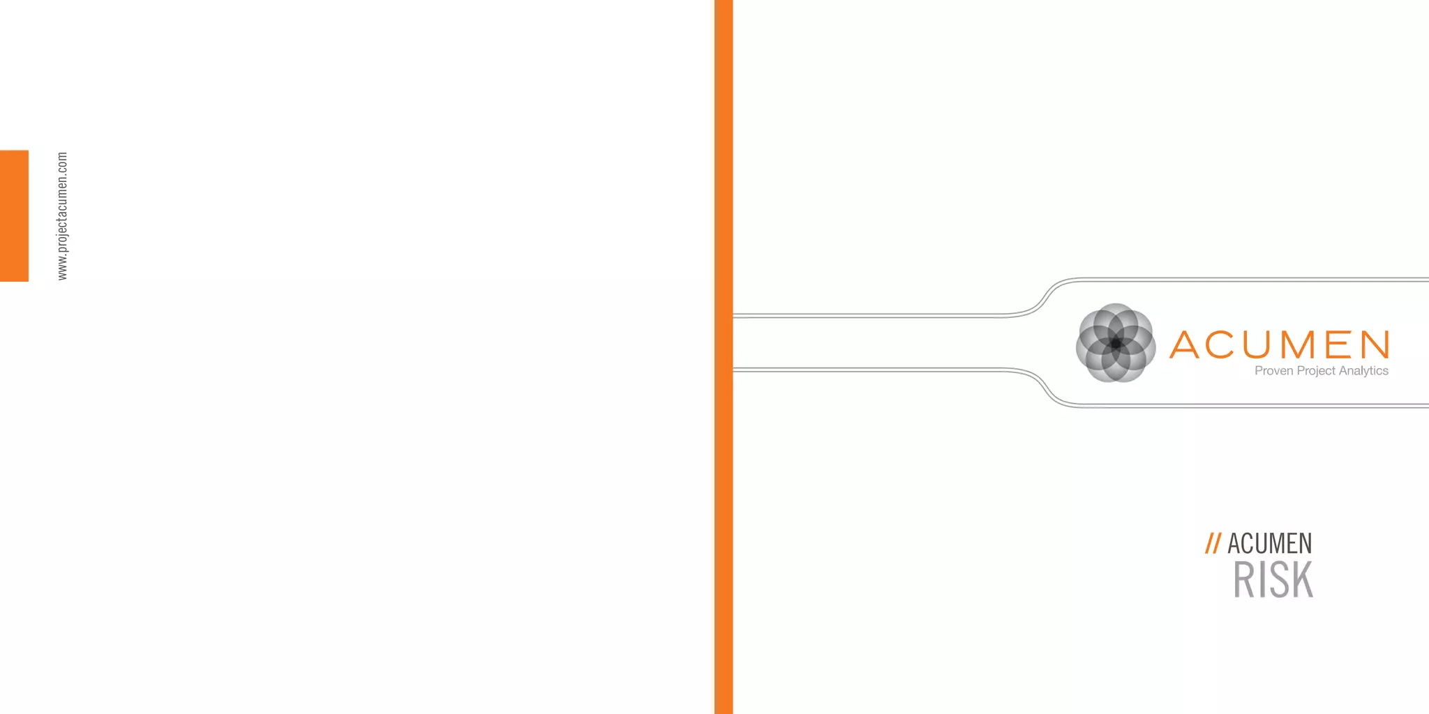 Acumen Risk: Brochure | PDF