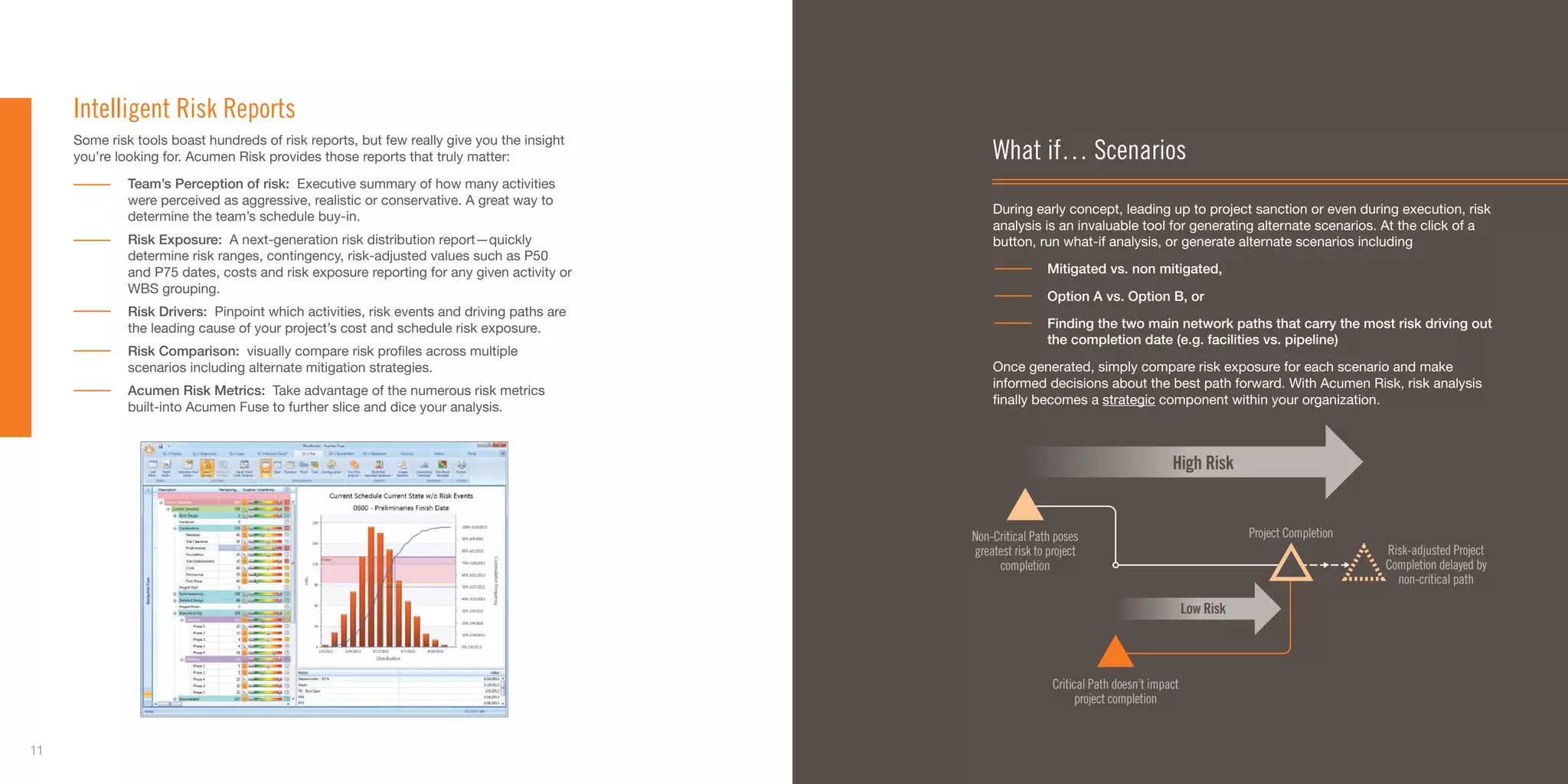 Acumen Risk: Brochure | PDF