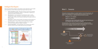 Acumen Risk: Brochure | PDF