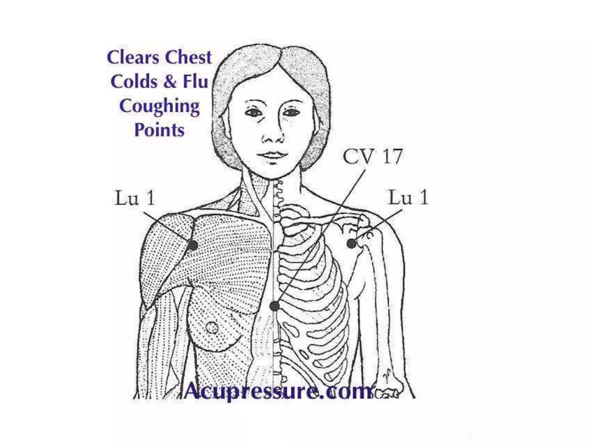 Acupressure chest points | PPT