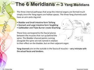 Acupuncture mode of action 365 | PPTX | Brain and Nervous System ...