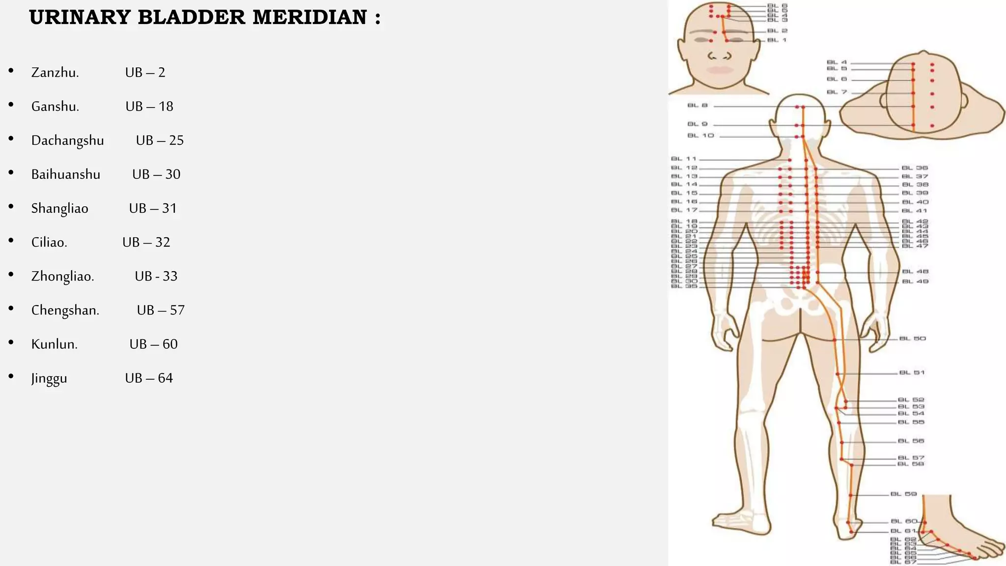 Acupuncture anaesthesia | PPTX