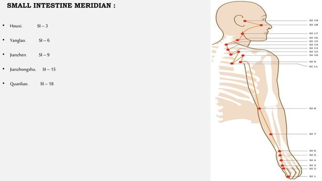 Acupuncture anaesthesia | PPTX