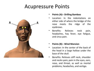 Head And Neck Pressure Points
