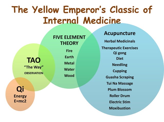 Acupuncture Neuromodulation 10.27.09 Power Point | PPT