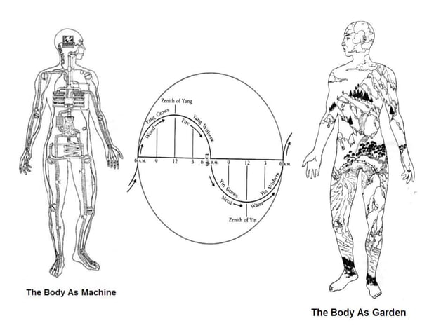 Acupuncture Neuromodulation 10.27.09 Power Point | PPT