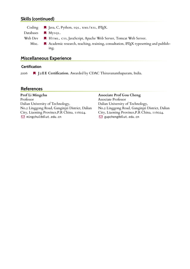 A customised cur_ve_cv (1) | PDF | Internet | Computing