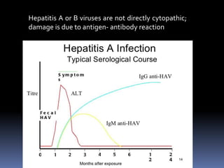 Acute hepatitis | PPTX