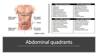 Acute-abdomen-and-Bowel-obstruction.pptx