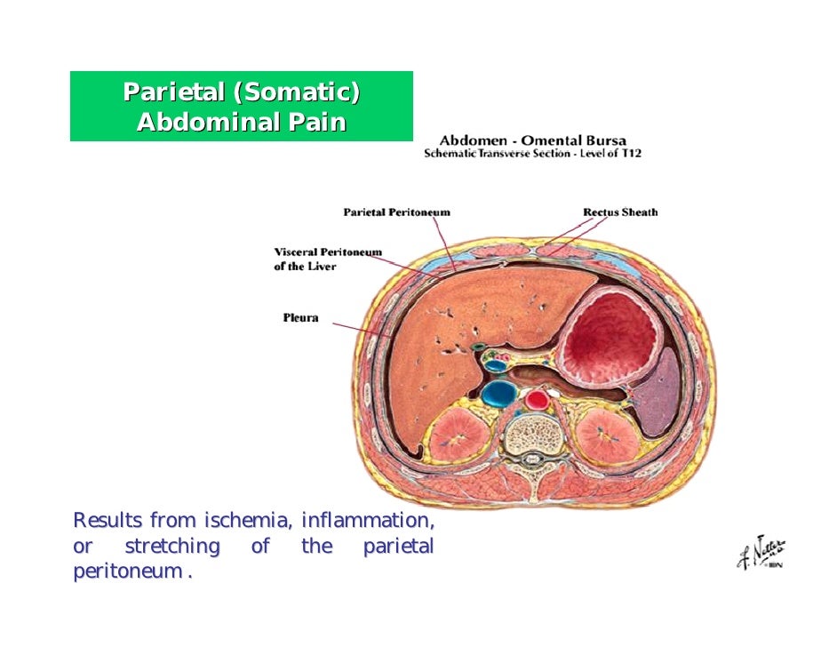 Acute Abdominal Pain