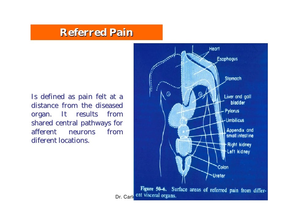 Acute Abdominal Pain