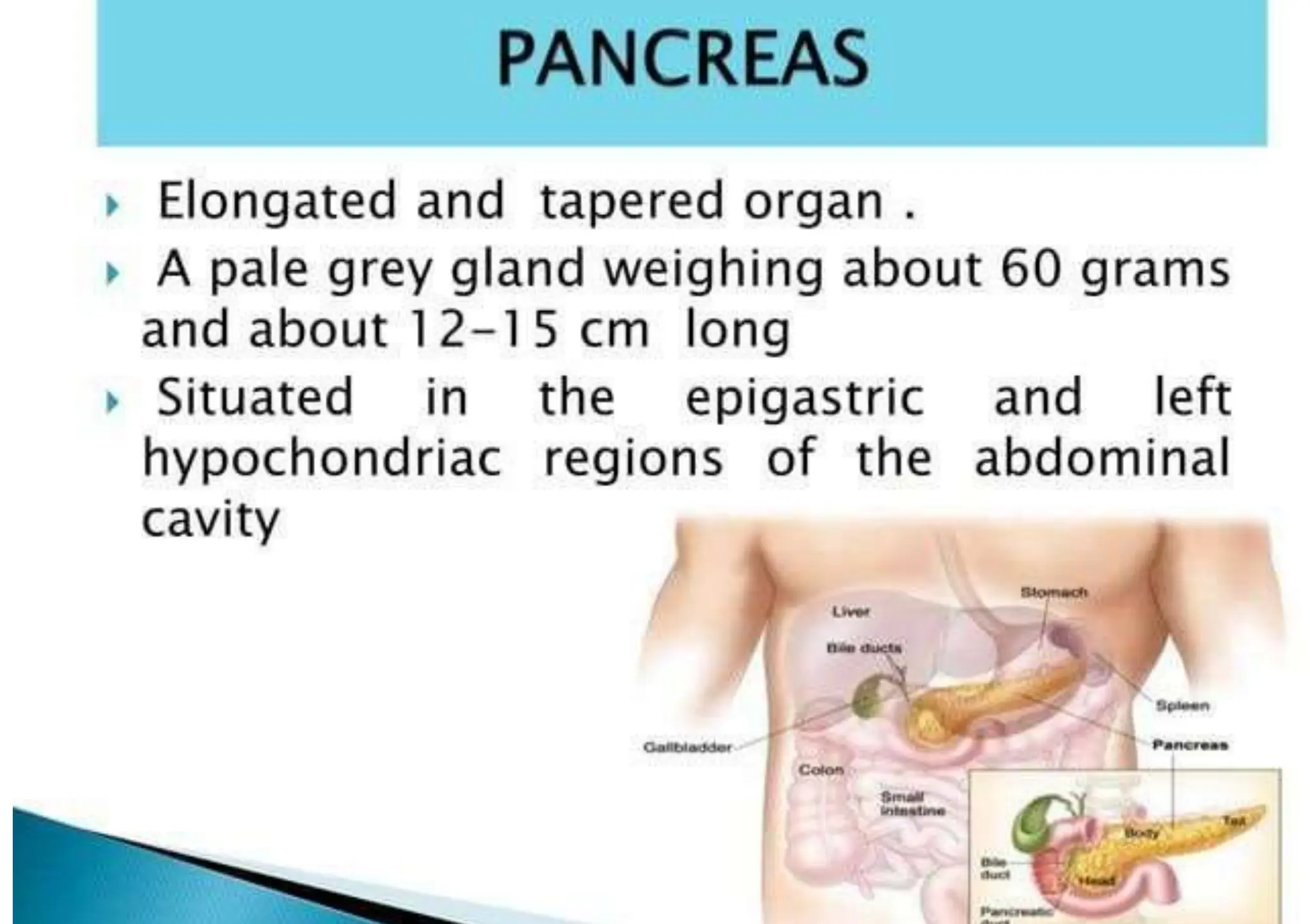 acute-and-chronic-pancreatitis-1-638.pptx_20240310_045509_0000.pptx