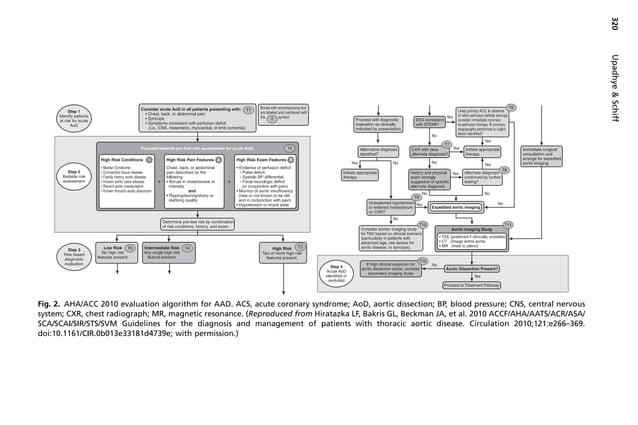 Acute aortic dissection in the emergency department - Emergency ...