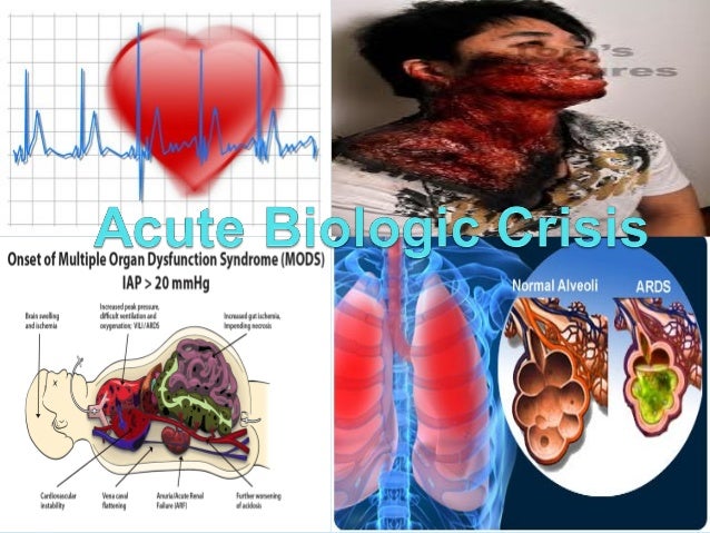 Acute biological-crisis ppt lecture