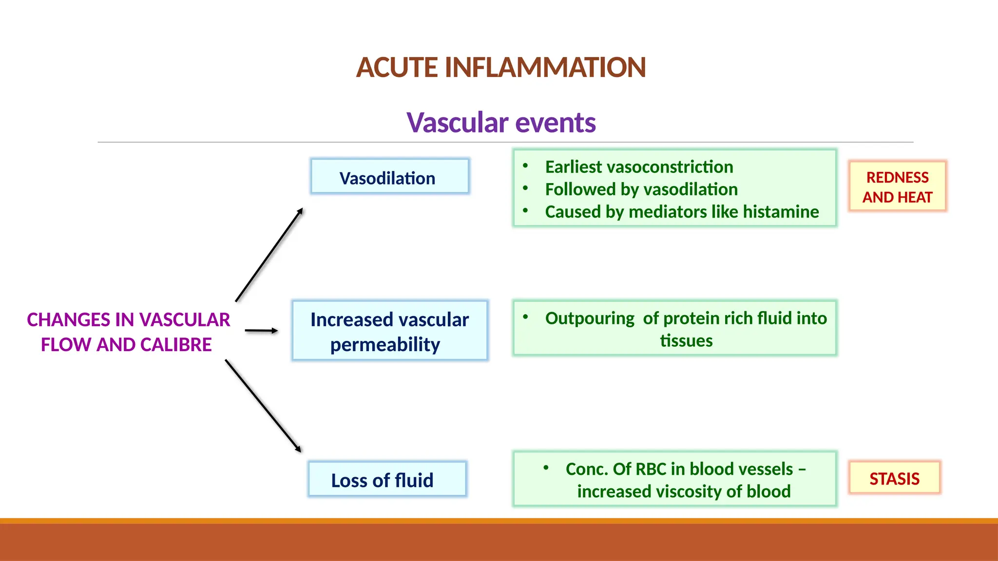 Acute-inflammation acute and chronic .pptx